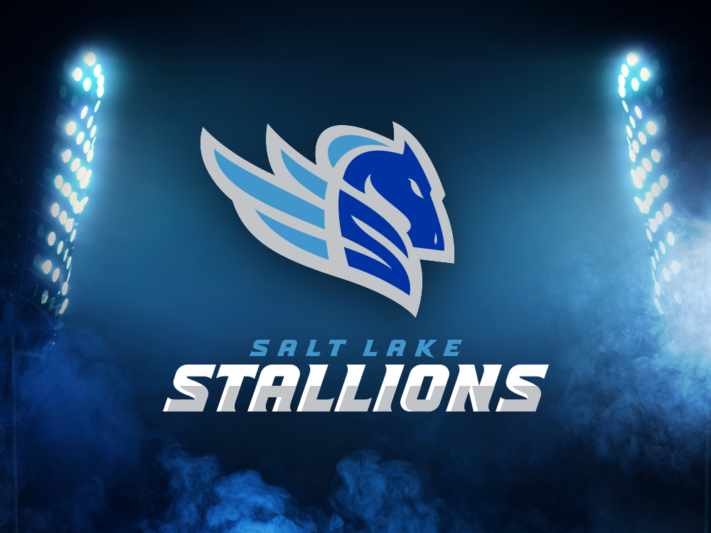 Salt Lake Stallions – HTML5 Ads | Ty Cummins Design